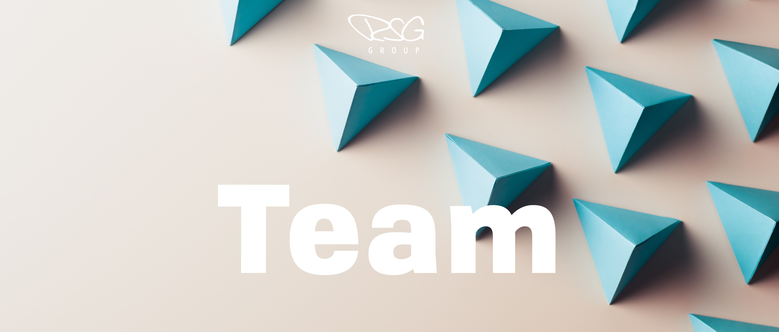 RSG Group GmbH as an employer